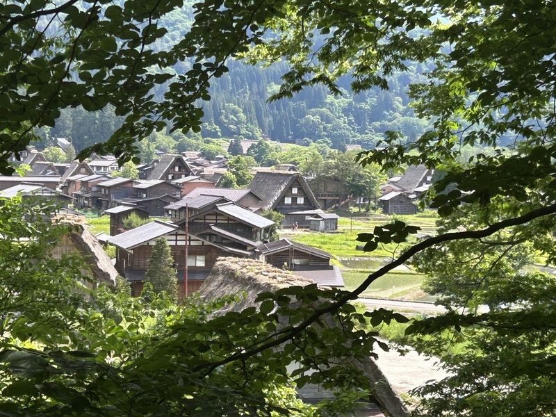 白川郷～6月の静かな魅力 | ブログ | 休暇村乗鞍高原【公式】